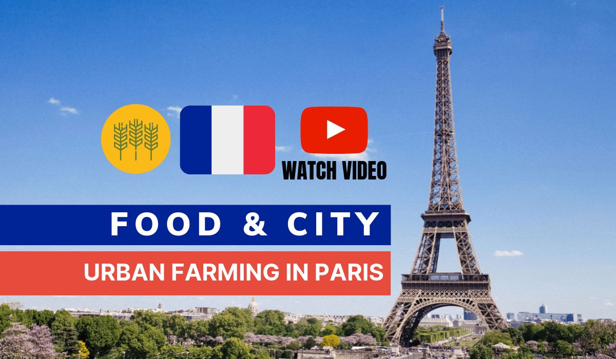 Food and the City: Urban farming in Paris | Jam Jam Group