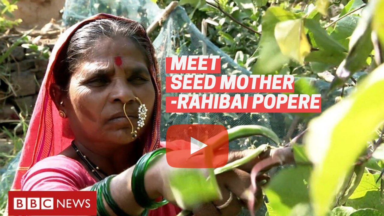 Meet Rahibai Popere 'Seed Mother Of India' – Padma Shri 2020 Awardee ...